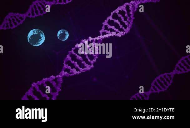 Genetic research chromosomes Stock Videos & Footage - HD and 4K Video ...