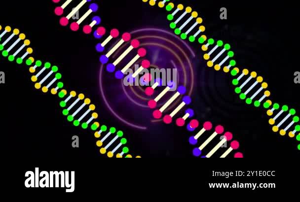 DNA strands and circular patterns, scientific data processing animation ...