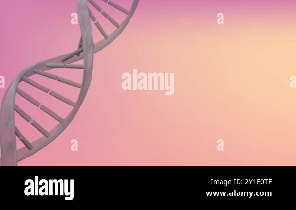 DNA strand animation over gradient pink and orange background. Genetics ...