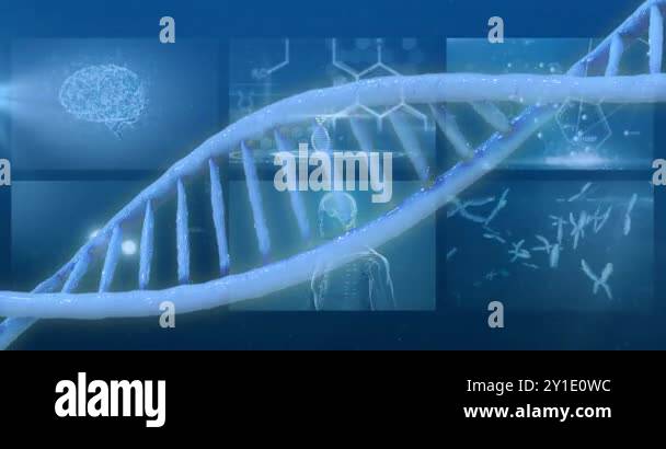 DNA strand and scientific data processing animation over brain and ...