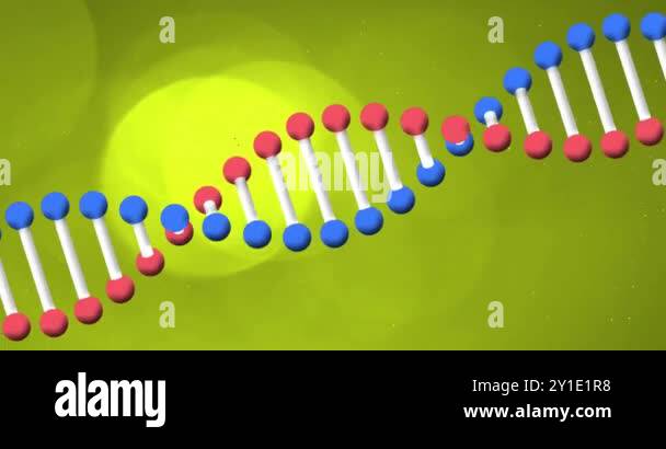 DNA strand animation over green background with red and blue molecules ...