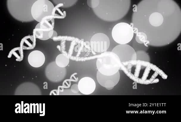 DNA strands and bokeh lights, scientific data processing animation ...