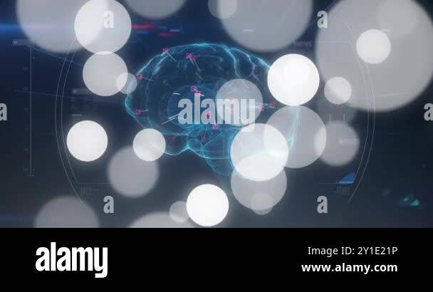 Digital brain scan and data analysis animation over abstract white circles. Technology ...