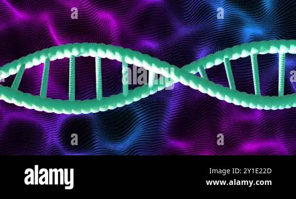 DNA strand over animated purple and blue wavy background. Genetics ...