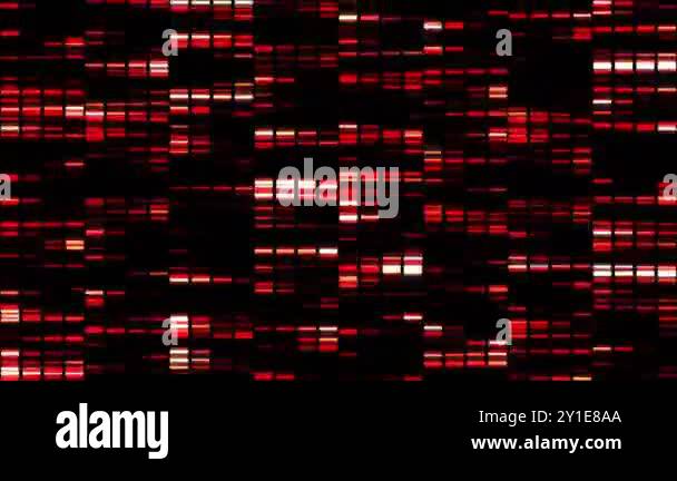 Dna sequencing research Stock Videos & Footage - HD and 4K Video Clips ...