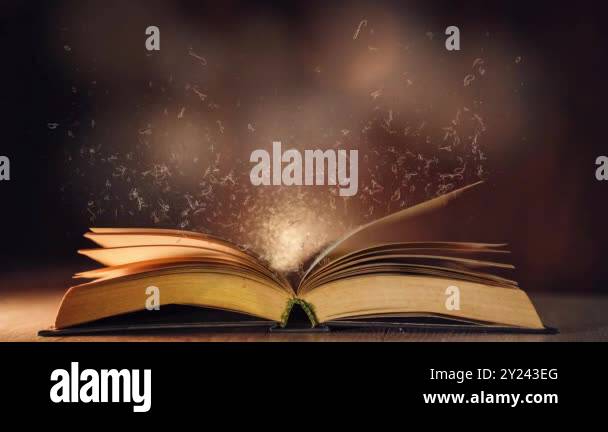 Open book flying alphabet Stock Videos & Footage - HD and 4K Video ...