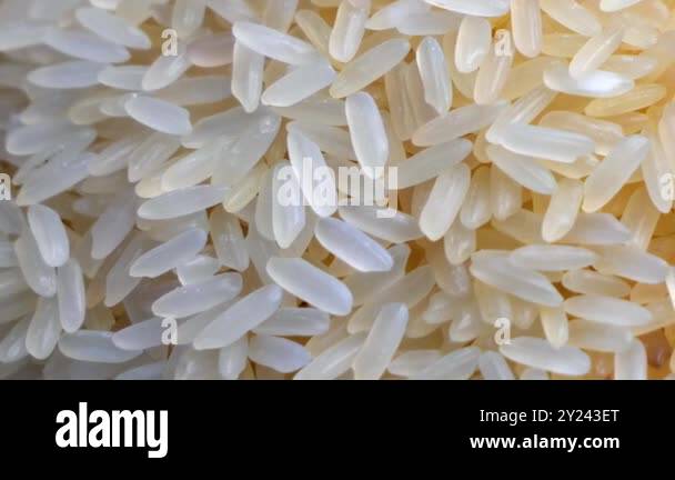 Rice cluster Stock Videos & Footage - HD and 4K Video Clips - Alamy
