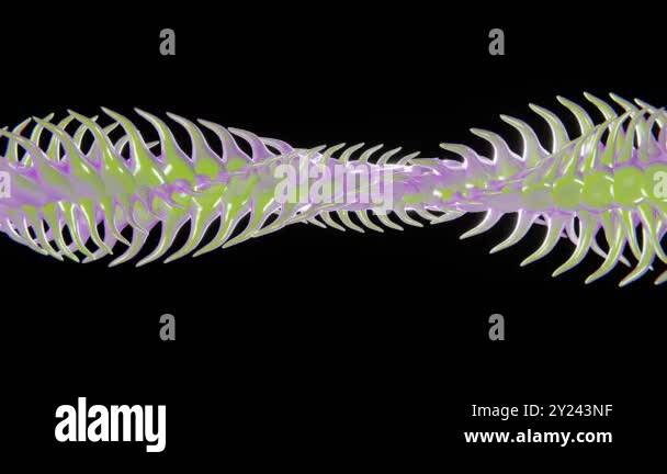 Abstract 3d DNA liquid vibrant gradient colours neon cyber punk pop ...