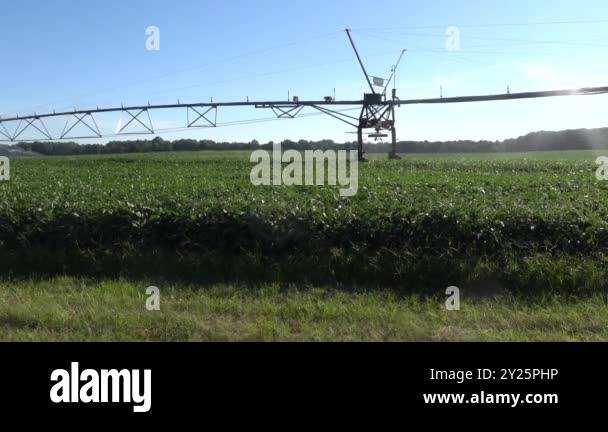 Maryland plantation Stock Videos & Footage - HD and 4K Video Clips - Alamy