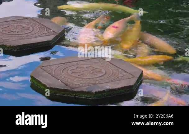 Painting the reflecting pool Stock Videos & Footage - HD and 4K Video ...