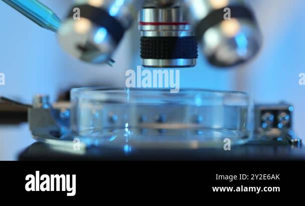 Microscope lens and blue liquid dripping over a Petri dish in ...