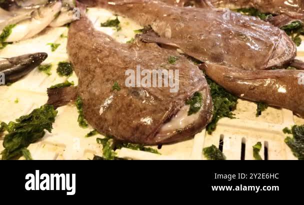 Fresh monkfish for sale at the market. Anglerfish or monkfish catfish ...