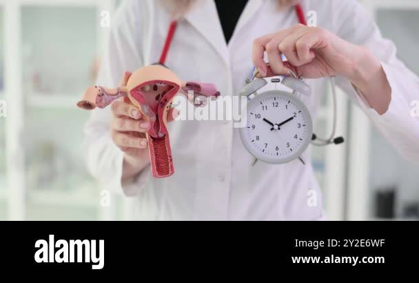 Female reproductive cycle Stock Videos & Footage - HD and 4K Video ...