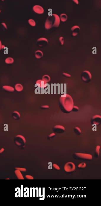 3d animation of red blood cells flowing through artery. Animation of ...