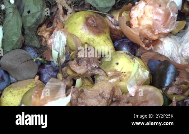 Compost decomposition Stock Videos & Footage - HD and 4K Video Clips - Alamy
