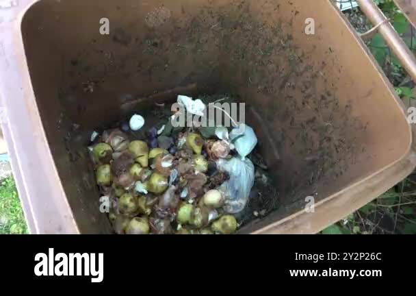 Bin brown compost waste Stock Videos & Footage - HD and 4K Video Clips ...