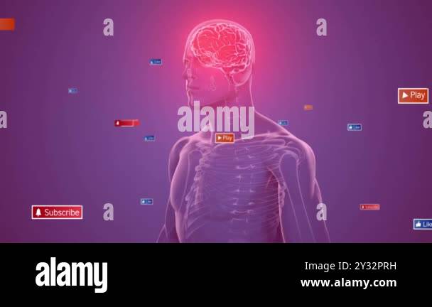 Human skeleton and brain with social media buttons animation over ...