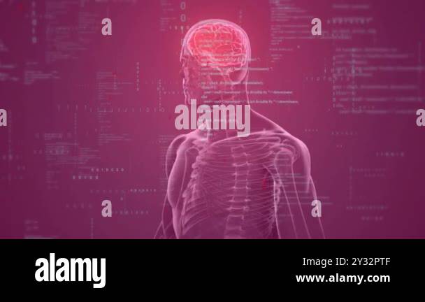 Human skeleton and brain with data processing animation over red ...
