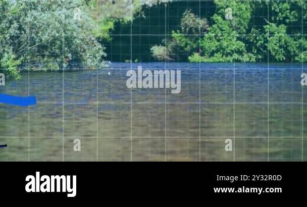 Growth graph trees Stock Videos & Footage - HD and 4K Video Clips - Alamy