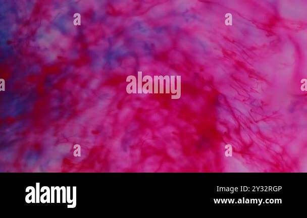 Paint splash. Biology ink. Defocused red blue color dripping blood ...