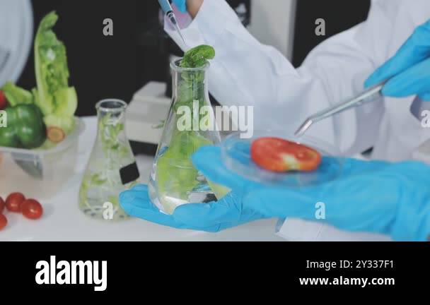 Microbiologist Looking at a Healthy Green Plant in a Sample Flask ...