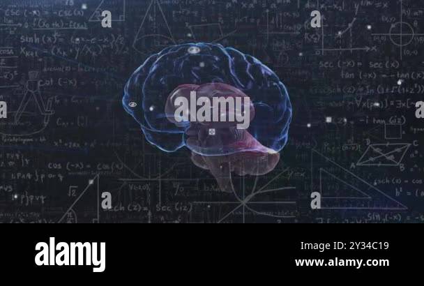 Neuroscience brain function Stock Videos & Footage - HD and 4K Video ...