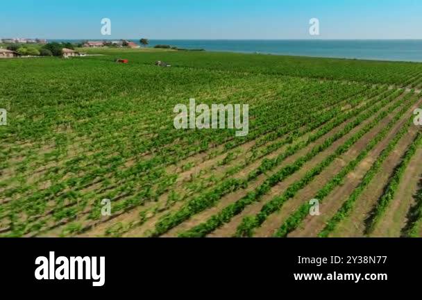 Sea shapes Stock Videos & Footage - HD and 4K Video Clips - Alamy