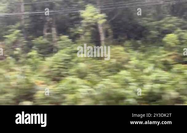 Doi inthanon view Stock Videos & Footage - HD and 4K Video Clips - Alamy