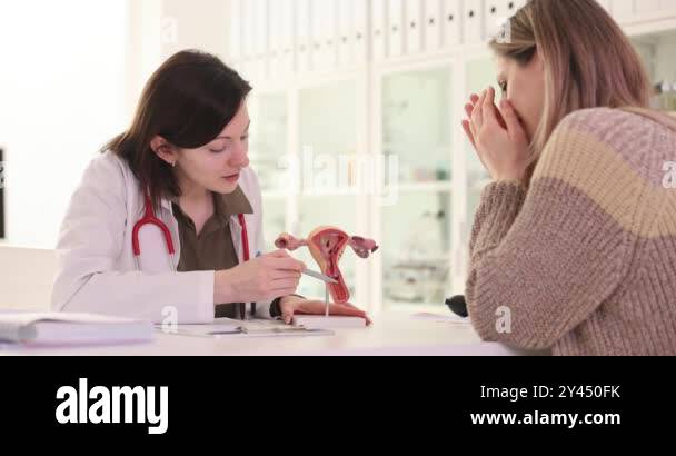 Gynecologist uses uterus model to explain patient problem. Woman ...