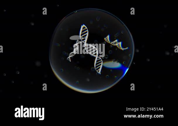 DNA double helix strand rotates in a cell on black background loop ...
