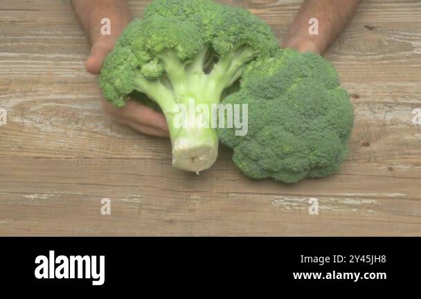 Visual comparison of sizes Stock Videos & Footage - HD and 4K Video ...