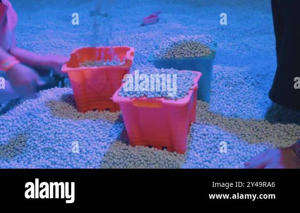 mother and daughter having fun together playing filling toy sand into ...