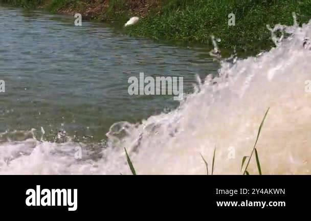 Freshwater landscape Stock Videos & Footage - HD and 4K Video Clips - Alamy