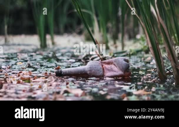 A plastic bottle floats in a polluted swamp, highlighting the ...