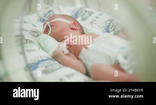 Premature baby boy in incubator Stock Videos & Footage - HD and 4K ...