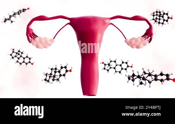 3d animation of a female reproductive system with molecular structures ...