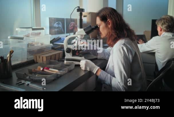 Female microbiologist analyzes fossils under microscope. Tools and ...