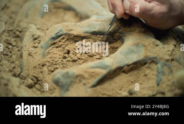 Close up shot of cleaning bones of prehistoric human or dinosaur from ...