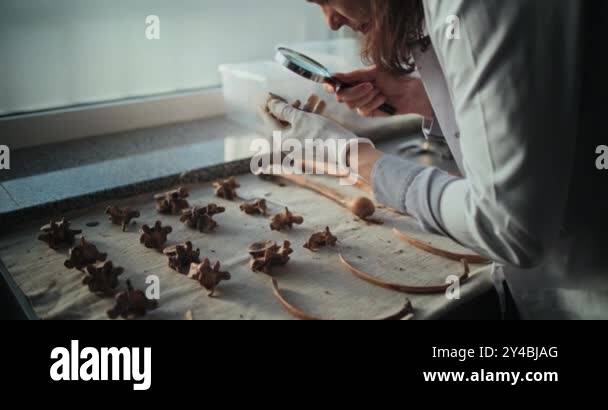 Female archaeologist or paleontologist studies bones of prehistoric ...