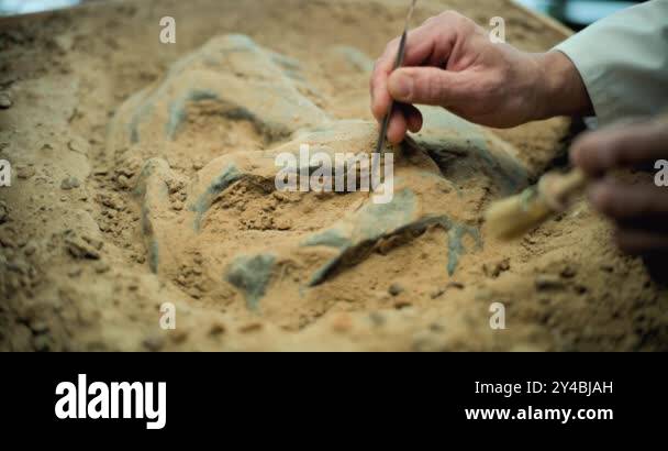 Close up shot of cleaning fossil remains of extinct civilization from ...