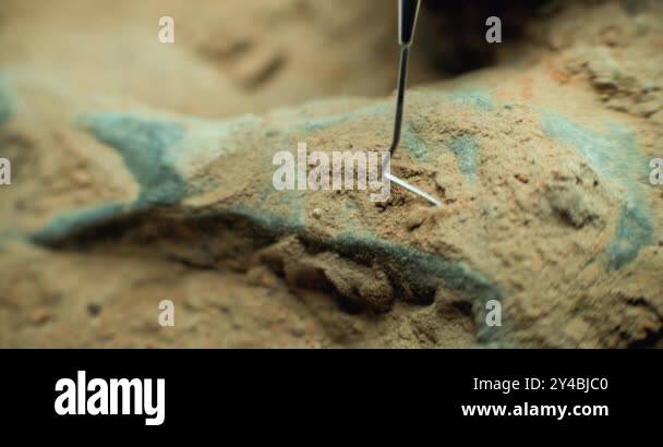 Close up shot of cleaning skeleton of prehistoric human or animal from ...
