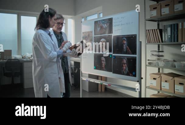Male and female scientists study fossil skull of ancient man using ...