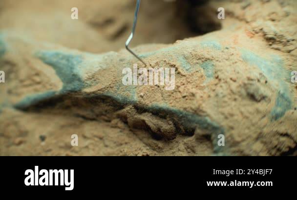 Close up shot of cleaning fossil remains of extinct civilization from ...