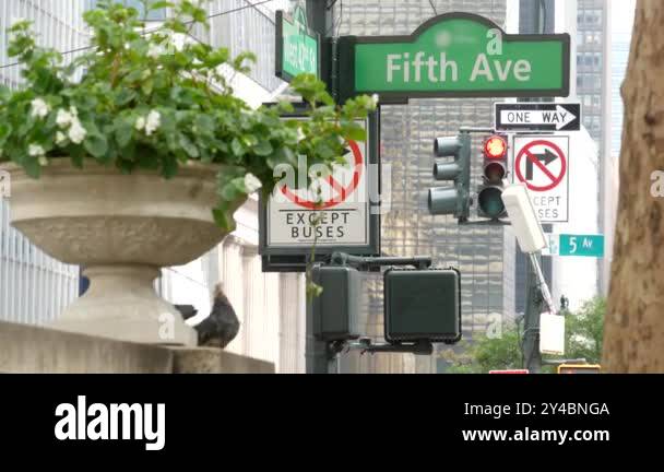 Fifth avenue, 5 ave road sign, Manhattan midtown architecture, New York ...