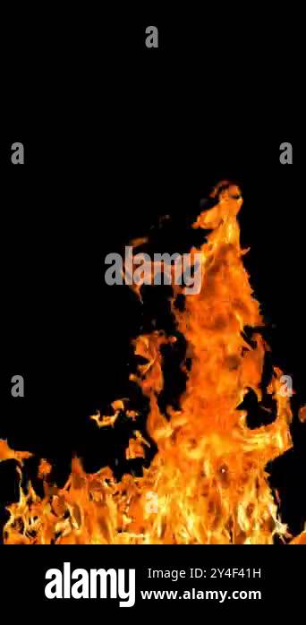 Fire Flames with Alpha Channel, Unique Design, Exclusive, Vertical ...