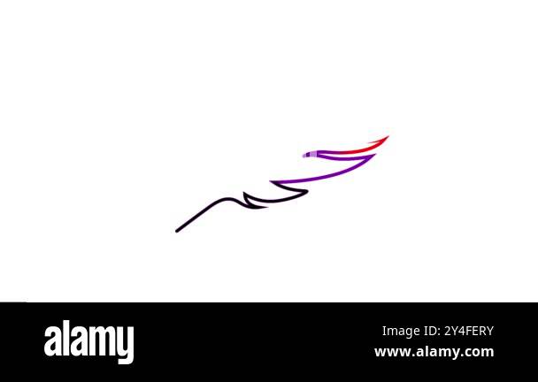 Bird feather outline Stock Videos & Footage - HD and 4K Video Clips - Alamy