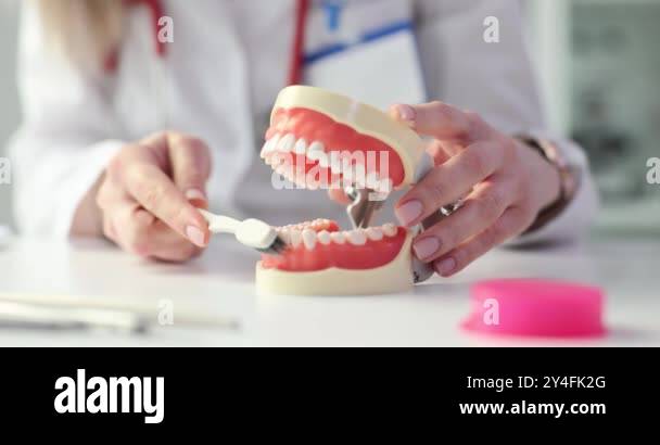 Dentist model jaws Stock Videos & Footage - HD and 4K Video Clips - Alamy