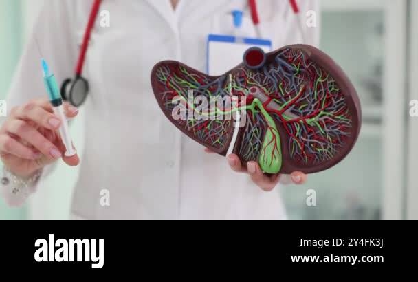 Liver disease treatment Stock Videos & Footage - HD and 4K Video Clips ...