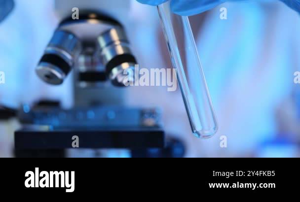 Transparent tube with germs and test strip. Laboratory assistant ...
