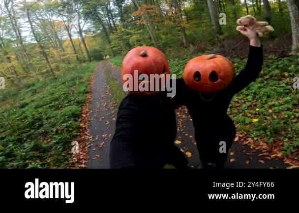 Forest head concept Stock Videos & Footage - HD and 4K Video Clips - Alamy